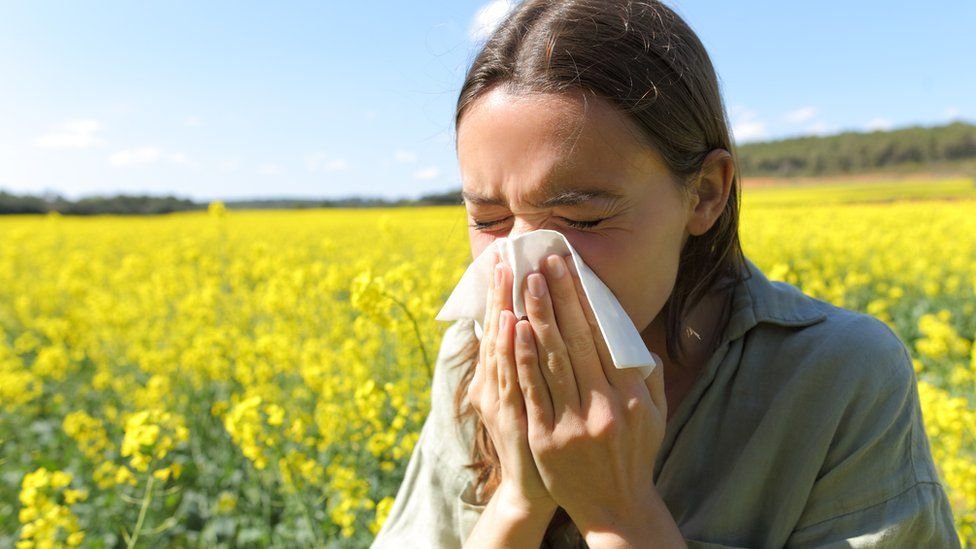 Hay fever injection - Fusion Radiology